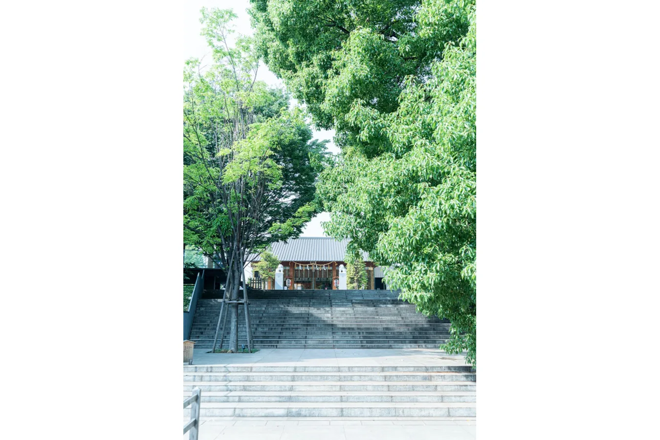 神楽坂に行くなら立ち寄りたい！神社仏閣パワースポット3選