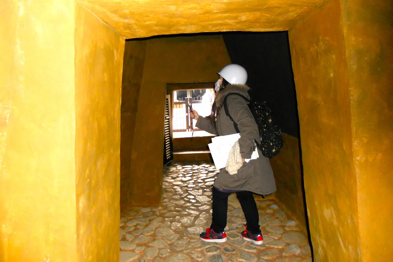 【府中】近代建築のような「武蔵府中熊野神社古墳」古墳シンガーまりこふんのイチ推し。