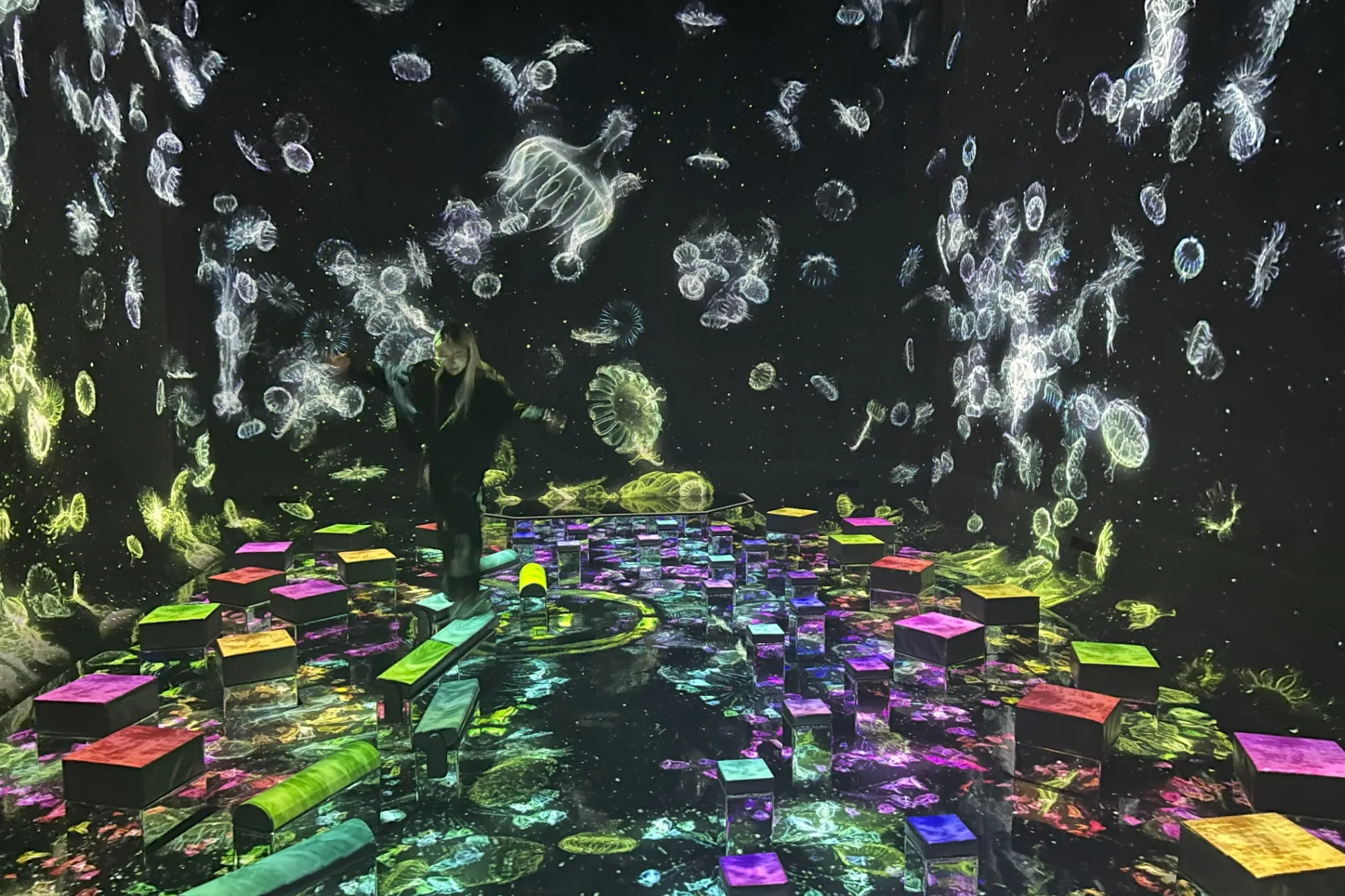 「チームラボプラネッツ TOKYO DMM.com」新エリア体験レポ！注目作品をご紹介