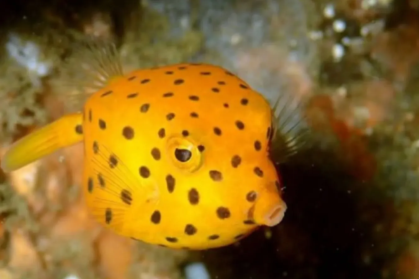 デートで行きたい！神奈川のおでかけスポット10選【すべて前売チケットあり】