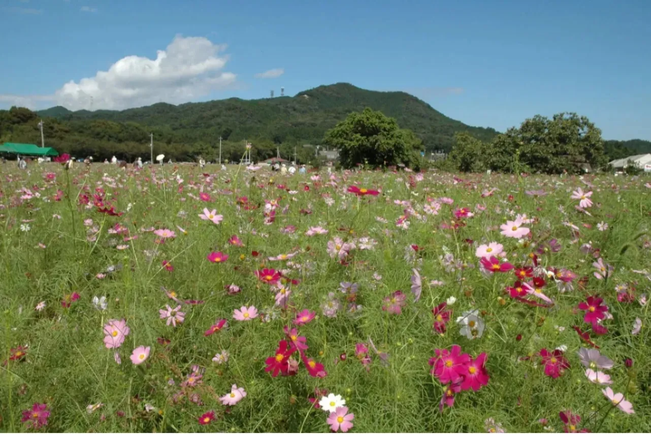 埼玉デートで行きたい！オススメのおでかけスポット20選