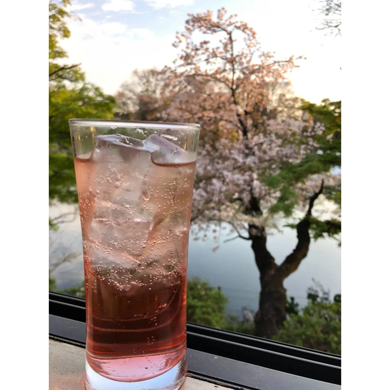 【東京】優雅に花見デートができる！桜が見えるレストラン5選