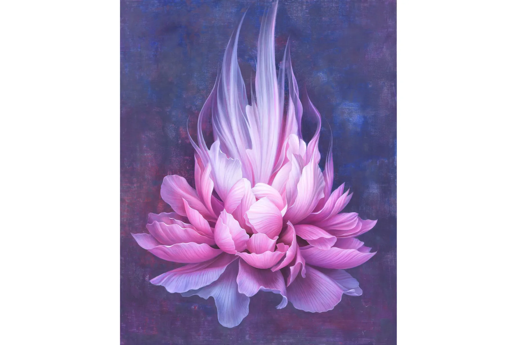 木村佳代子「VIS VIVA FLORA (ヴィス・ヴィヴァ・フローラ)」展