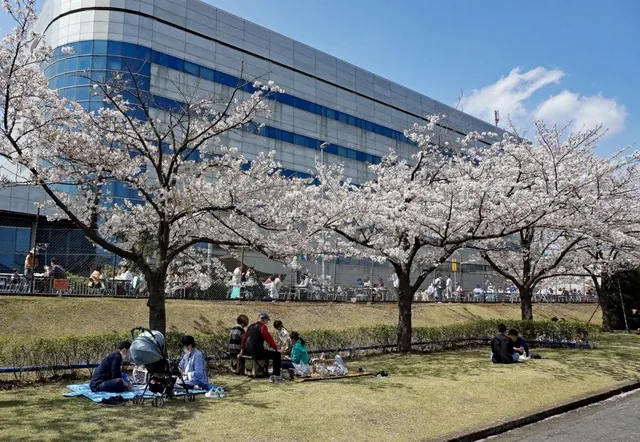 第13回JFEさくらまつり