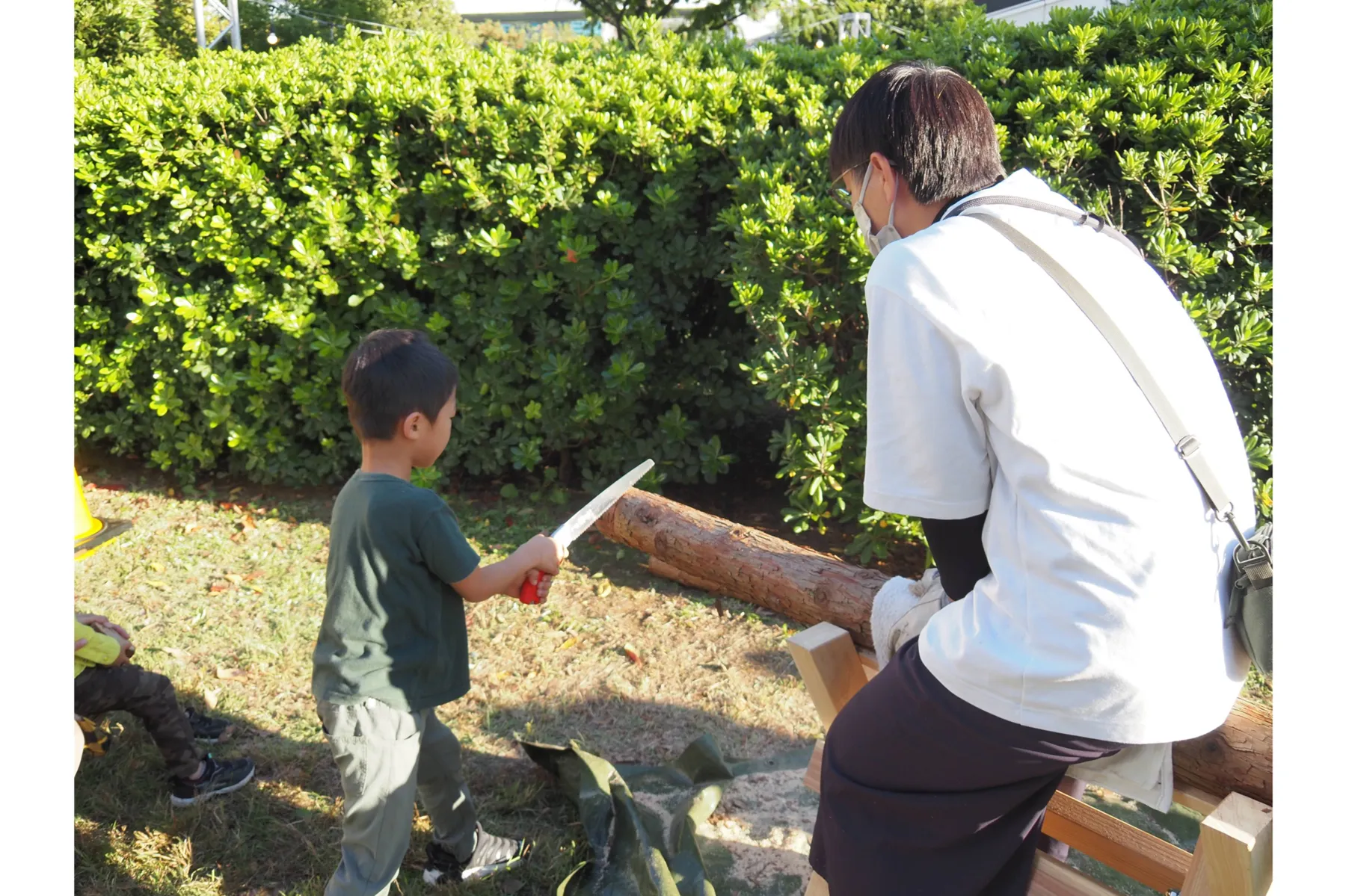 モクモク ワクワク のぞいてみよう 木と森のしごと WOODコレクション2024「JAPAN ReWOOD」