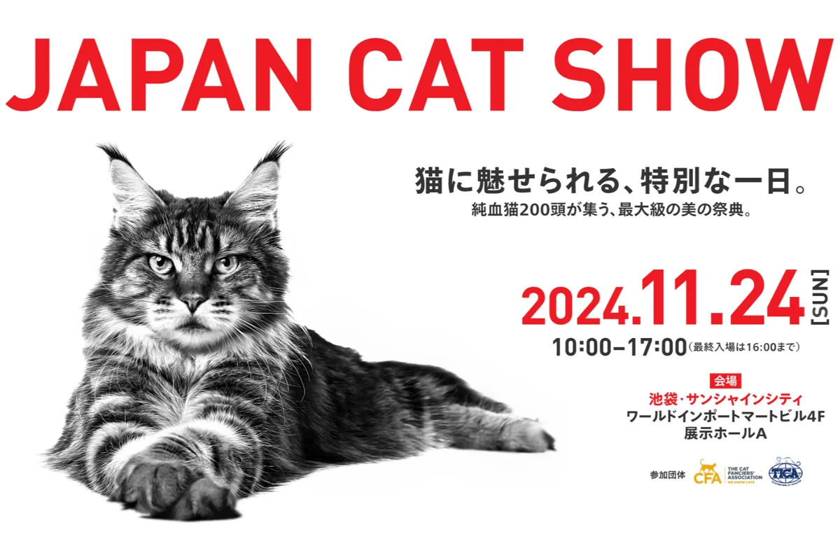 Japan Cat Show 2024