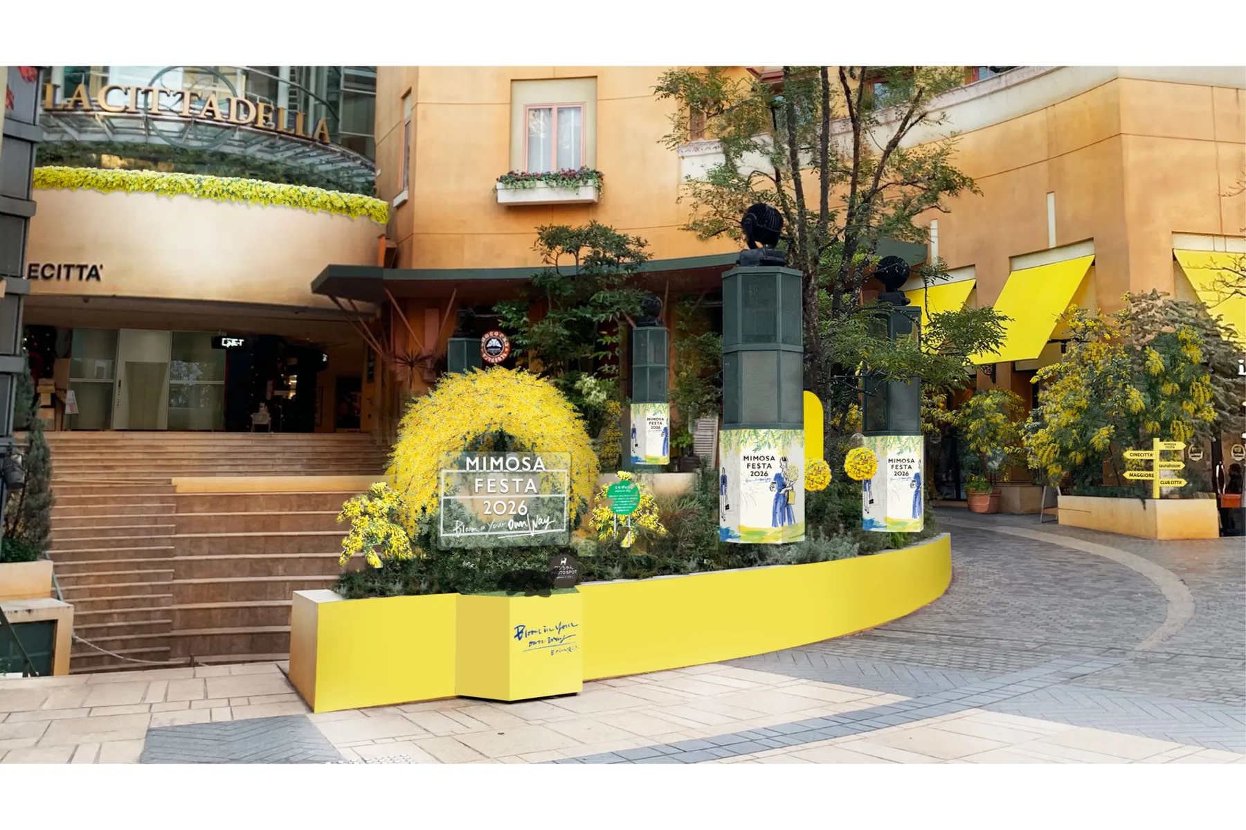 MIMOSA FESTA 2025