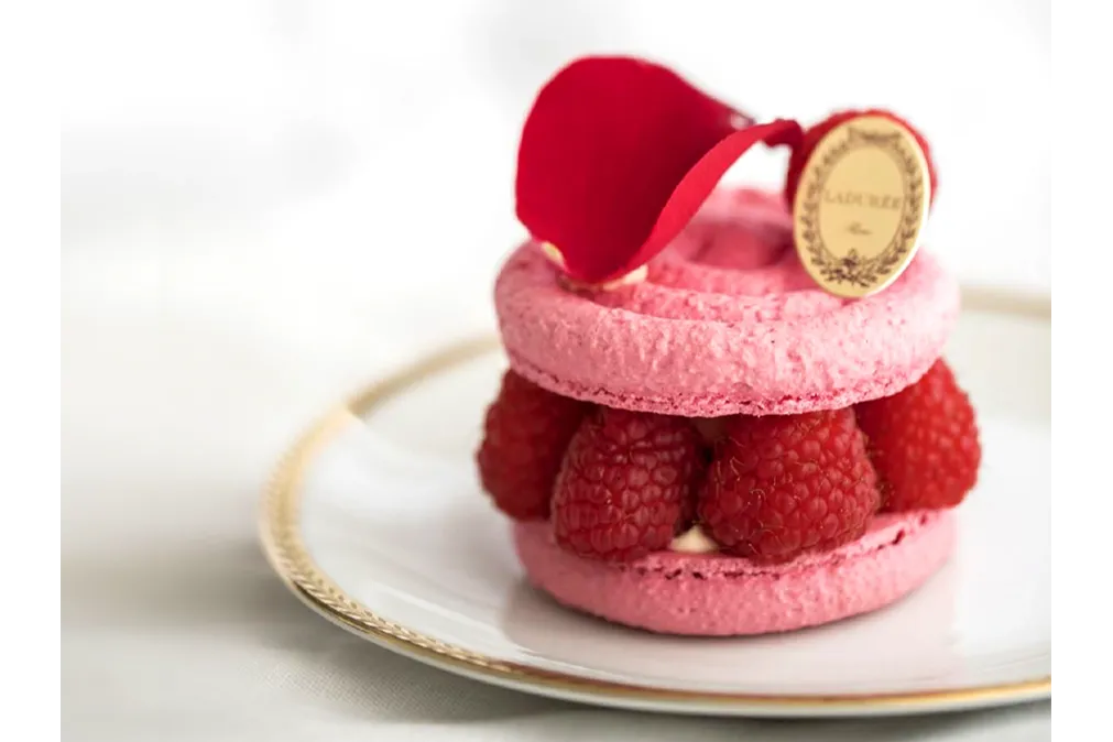 Dress up Christmas. -私が、冬を好きなわけ。-