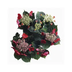 HIROKO ENSEKI 煙石紘子写真展 1月10日〜2月5日