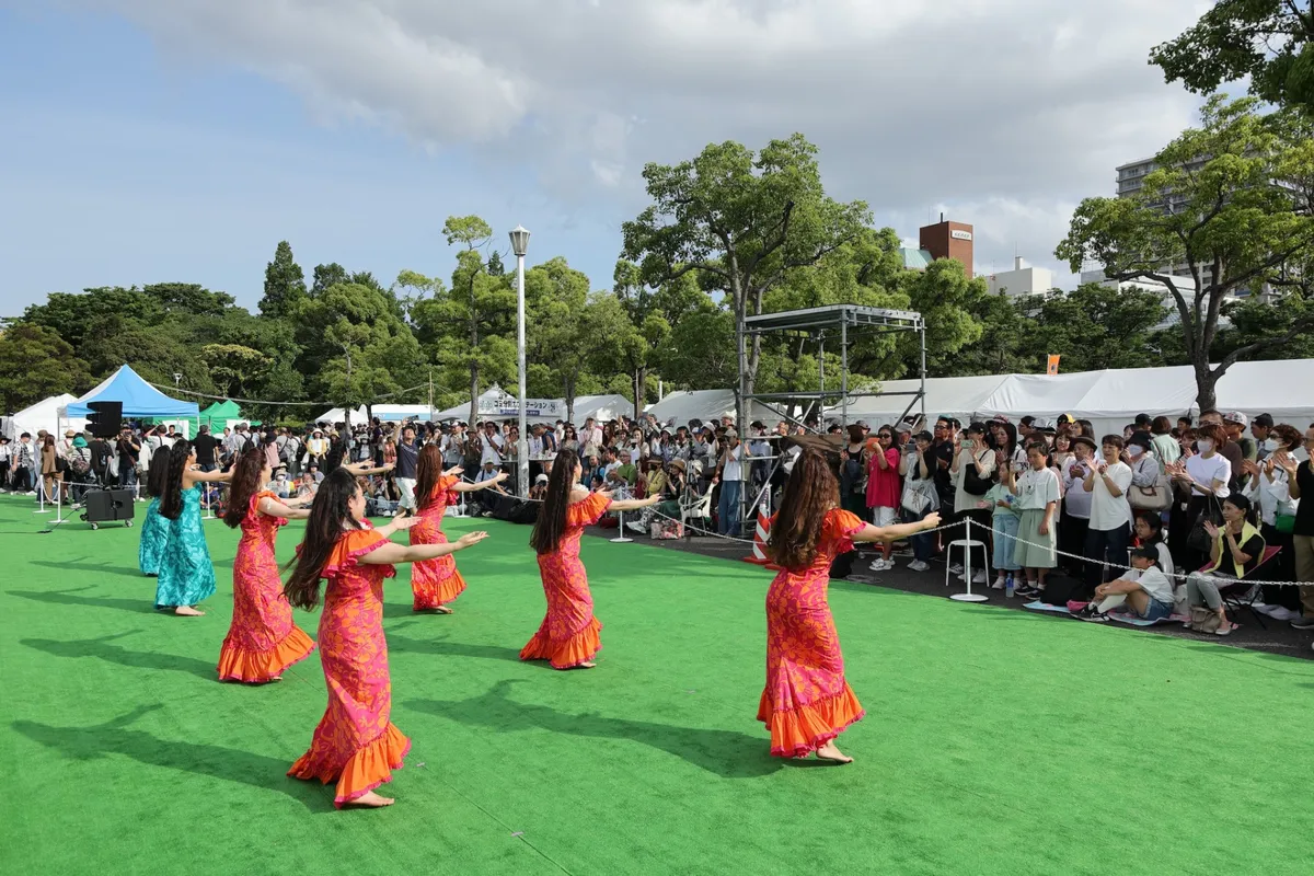 ハマフェス Y165