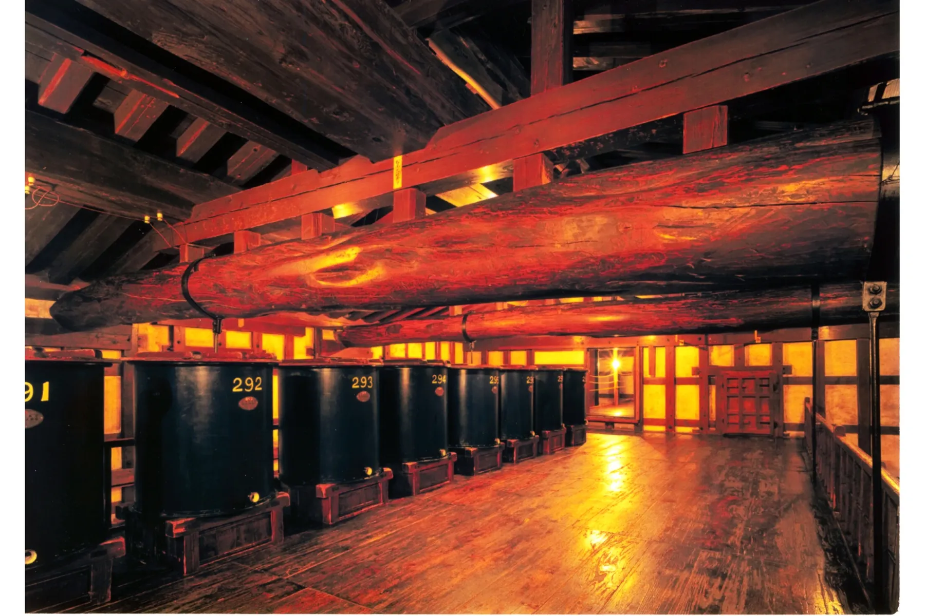 SHIBUYA SKY × 金王八幡宮「初詣」 渋谷上空229mで2026年最初の朝日を。