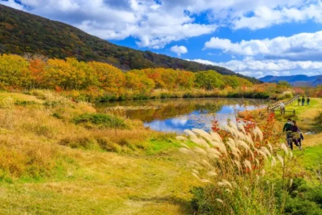 広島の紅葉の名所・見頃2025