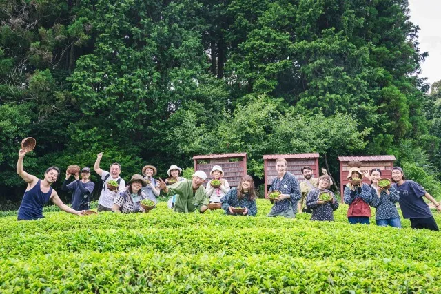 秋の茶摘体験2025